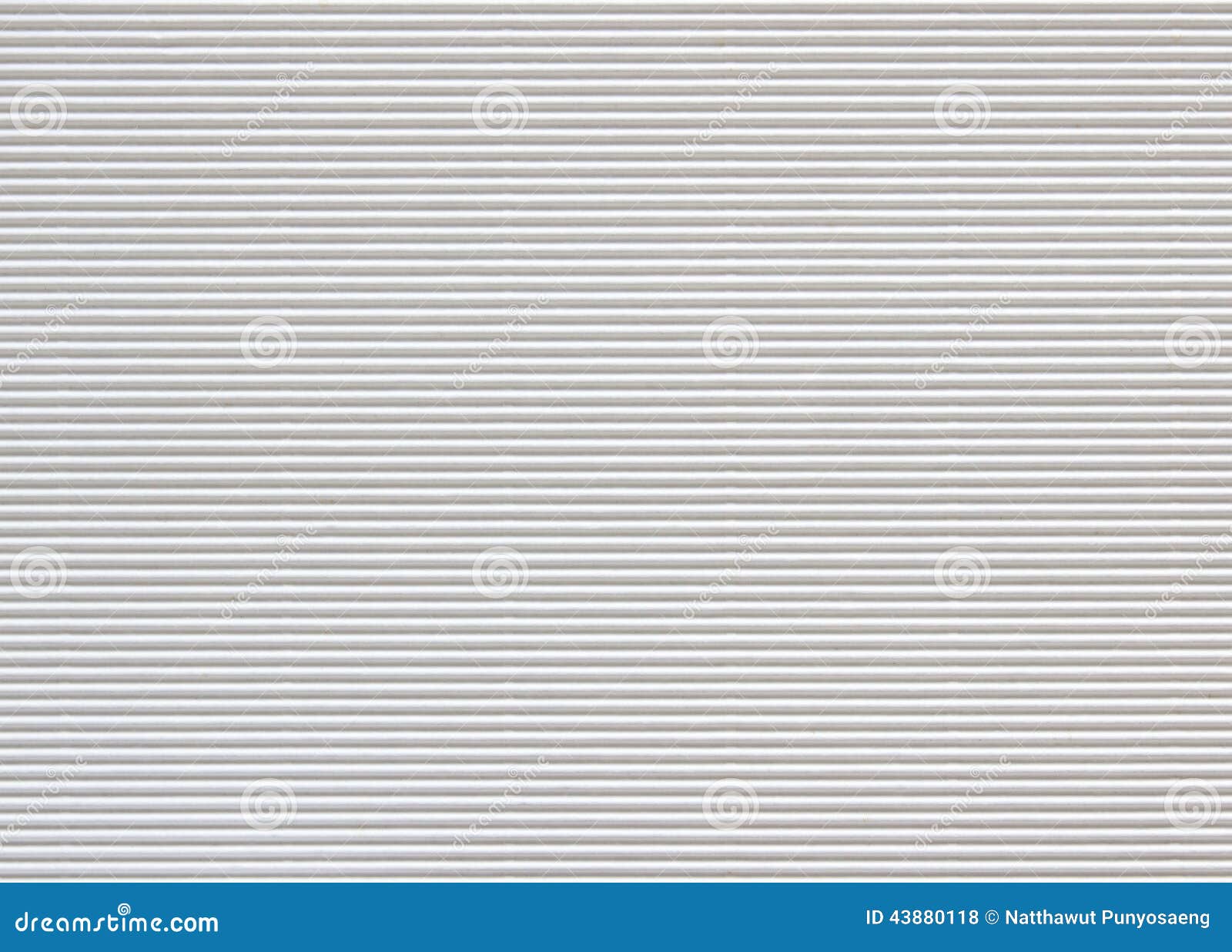 Stripe Of White Paint On Asphalt Texture Stock Image | CartoonDealer ...