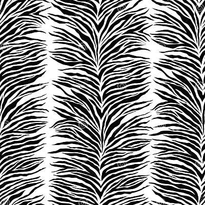 Stripe zebra print stock vector. Illustration of vertical - 12772074