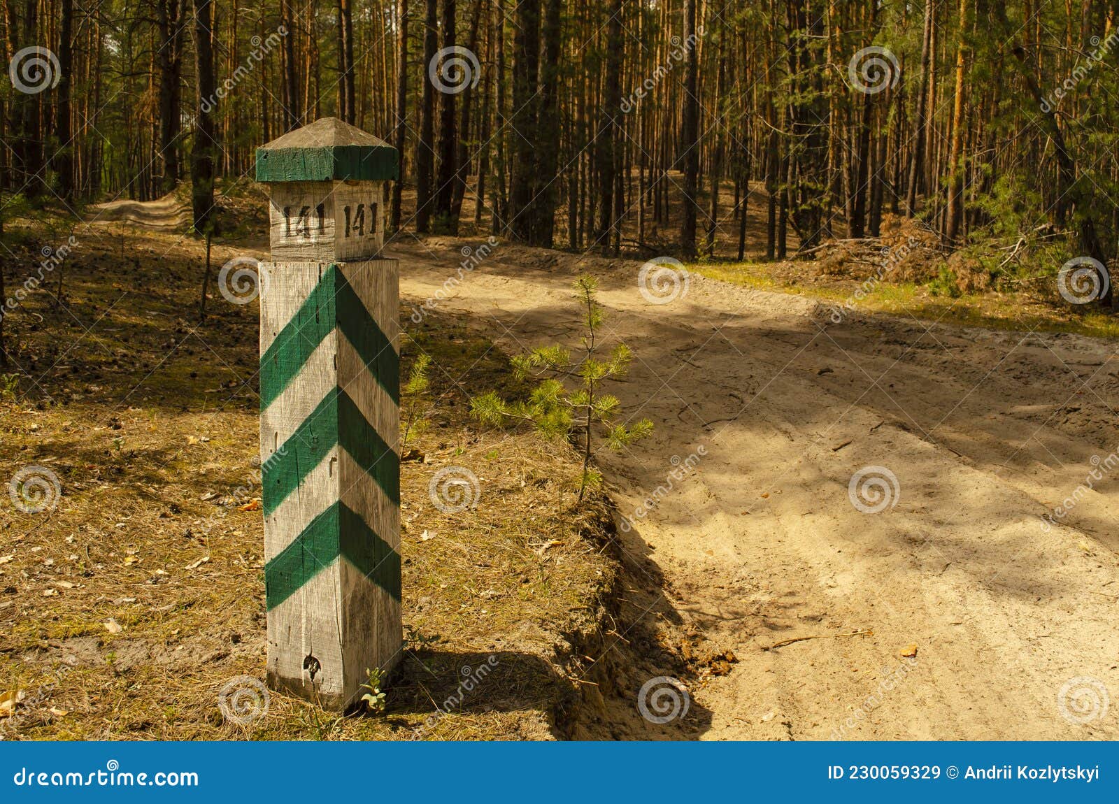 A Striped Border Post in the Forest with a Plot Number. Forest Road ...