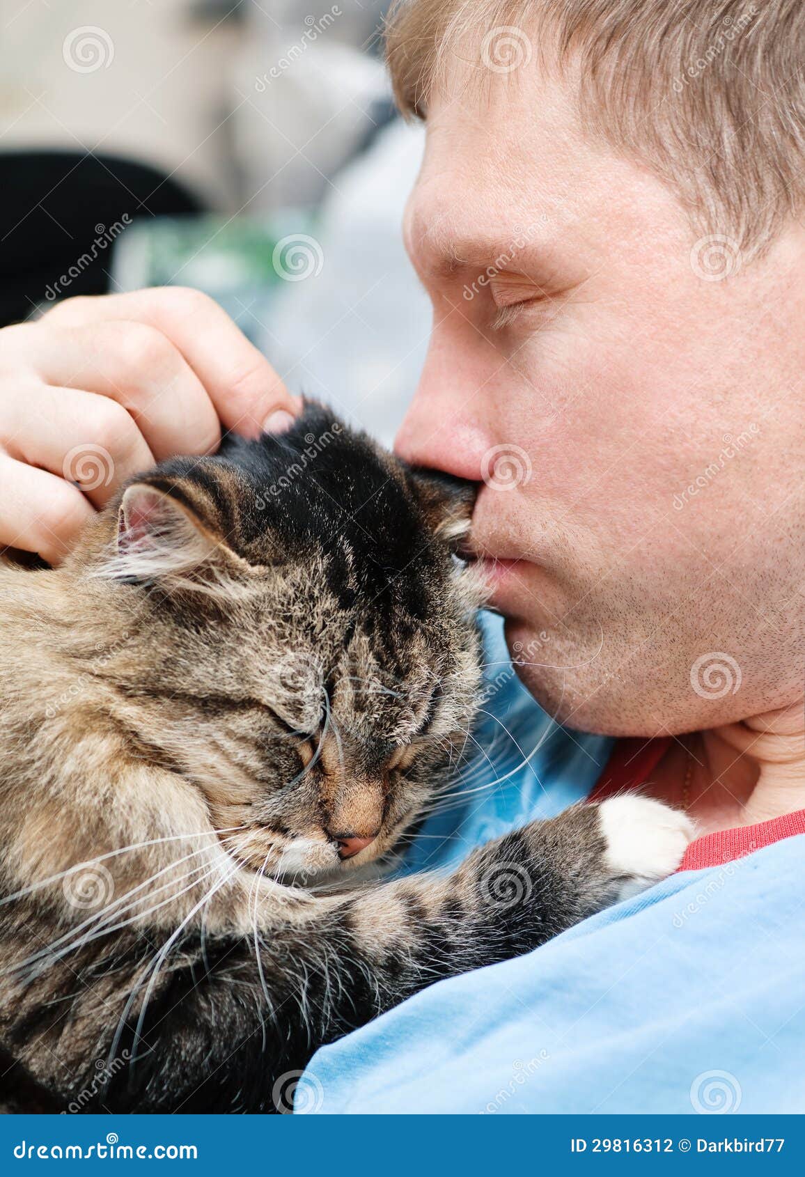 Man with cat stock photo. Image of love, lean, kitty - 29816312