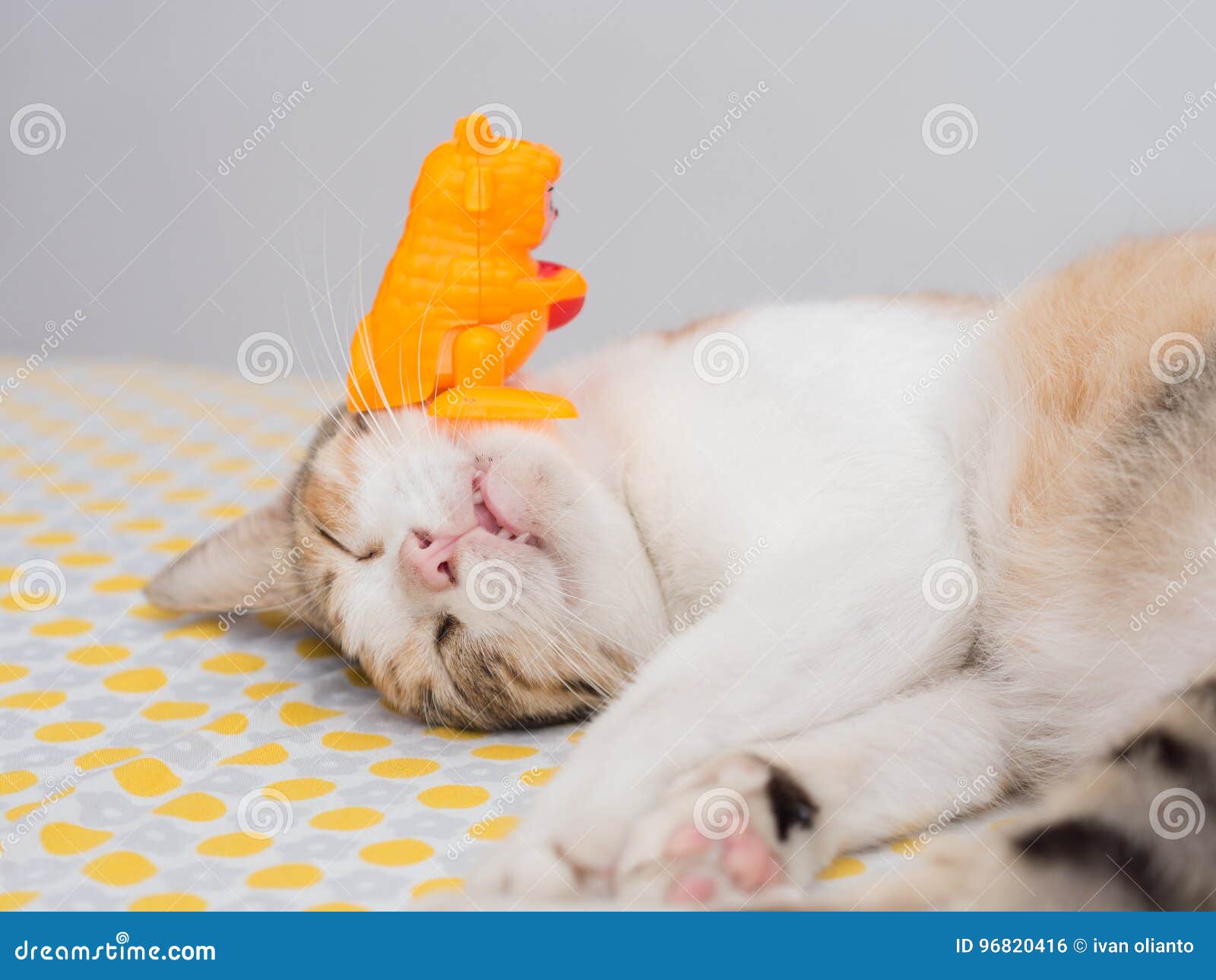 Striped Cat Sleep with Toy on Bed Stock Photo - Image of playing ...