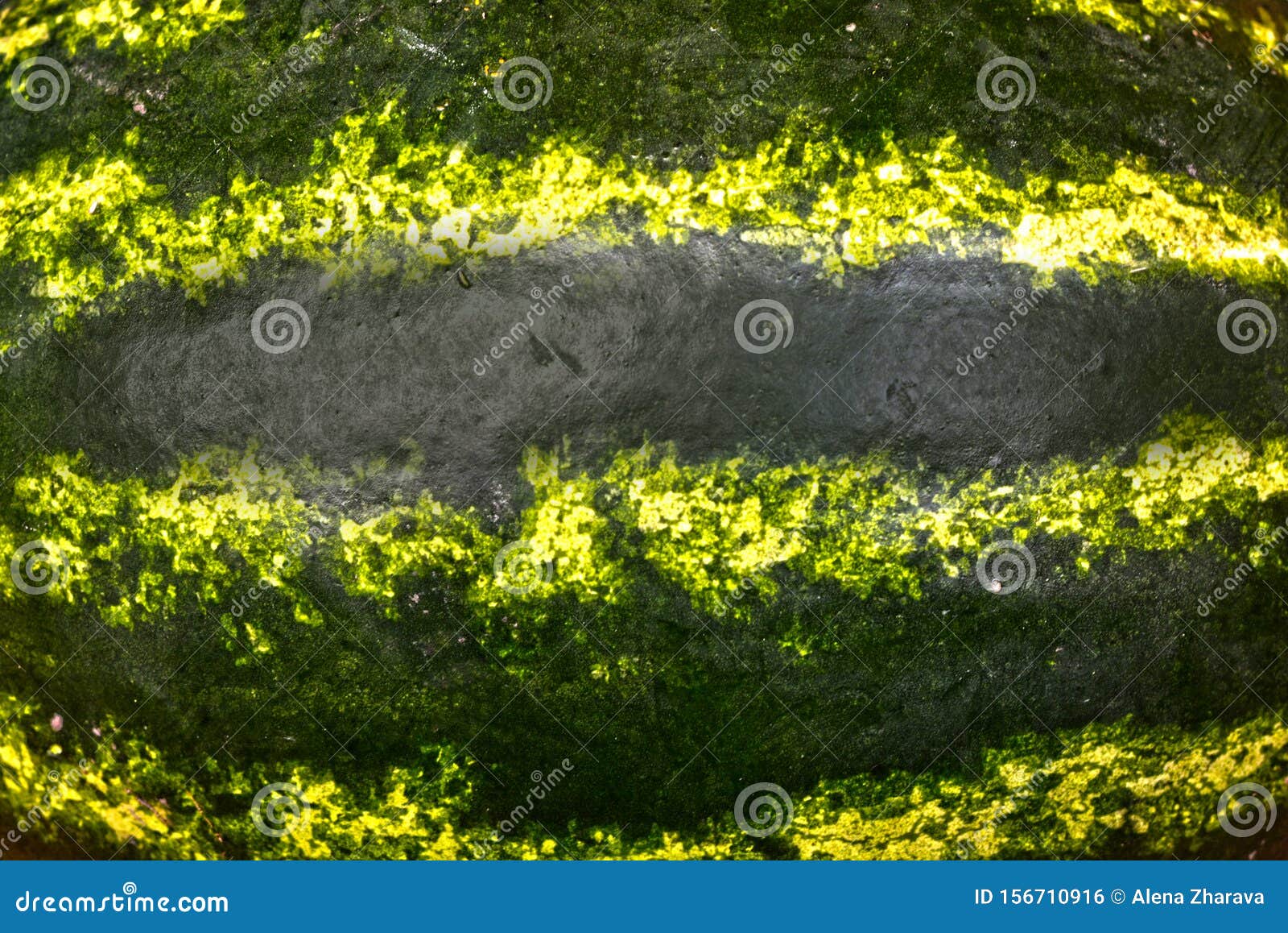 Striped Crust of Watermelon, Background Stock Photo - Image of summer ...