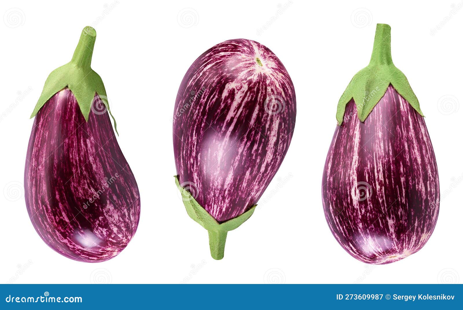 Striped Eggplant Graffiti Isolated on White Background with Full Depth ...
