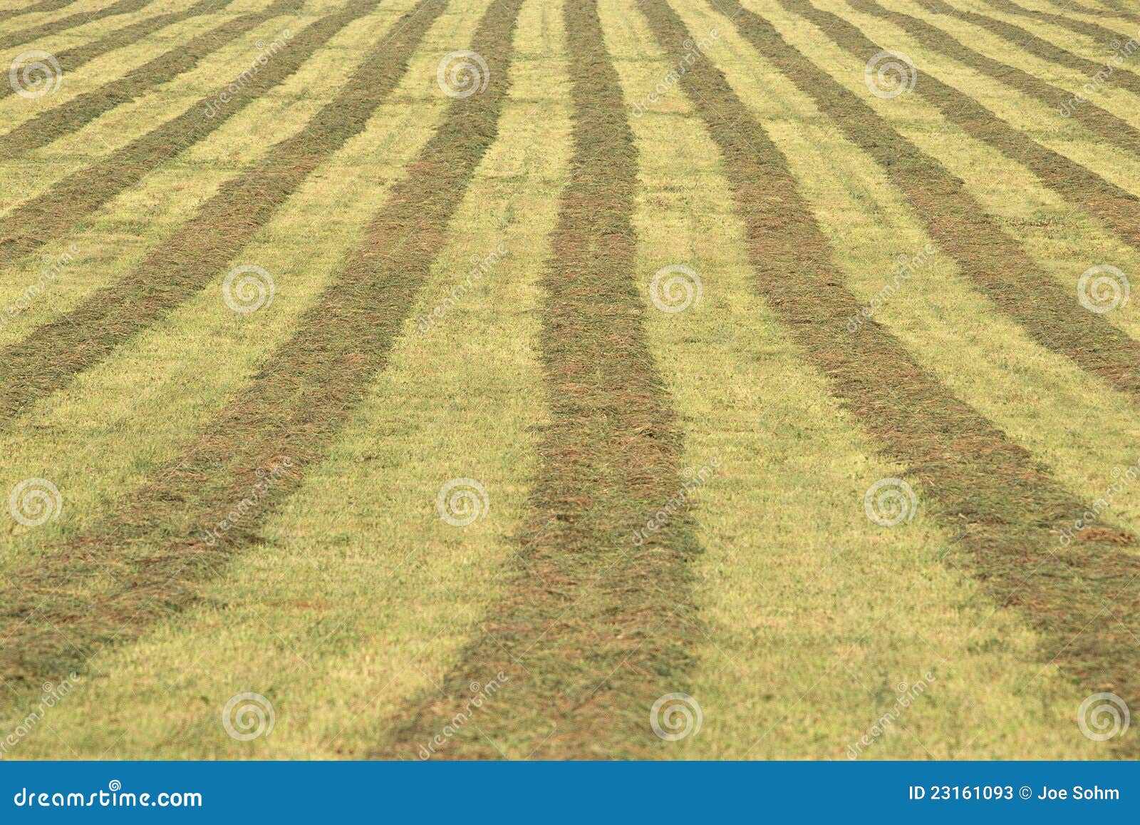 Striped field stock image. Image of field, harvest, united - 23161093