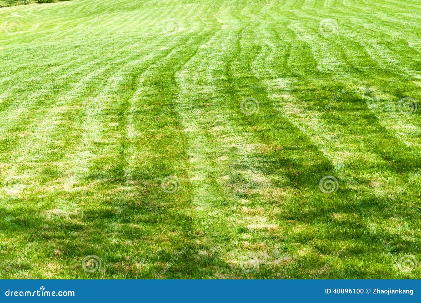 Striped Freshly Mowed Garden Lawn Stock Photo - Image of lawn, color ...