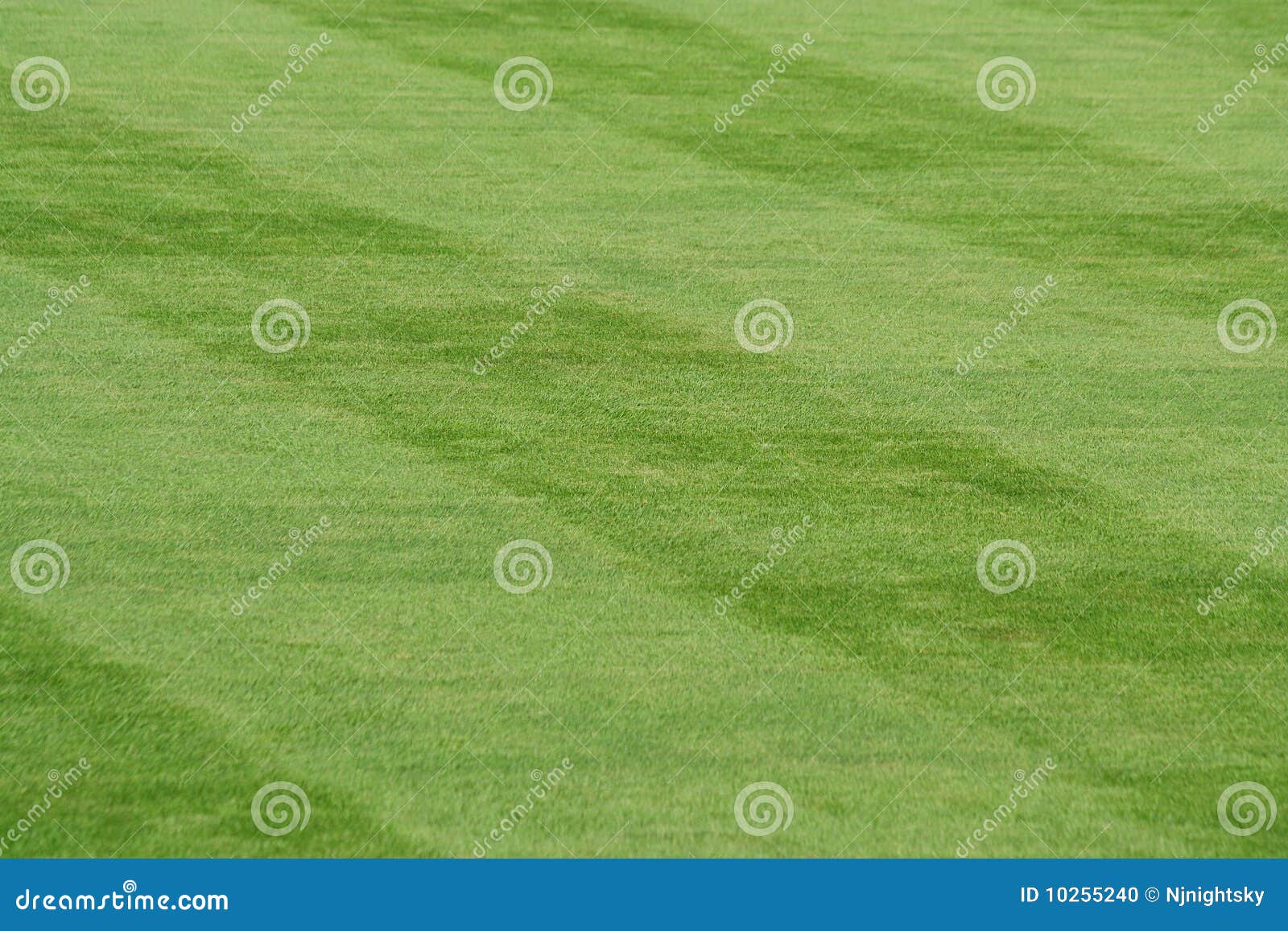 Striped grass stock photo. Image of plant, grass, lawn - 10255240