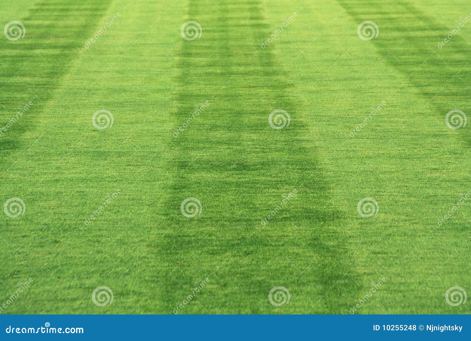 Striped grass stock photo. Image of backdrop, lawn, rows - 10255248