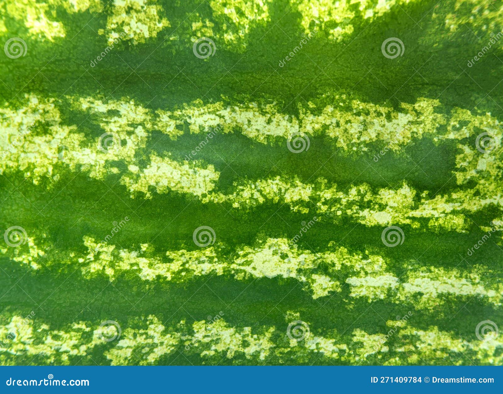 Striped Green Grass Texture With Perspective View. Parts Of Lawn In ...