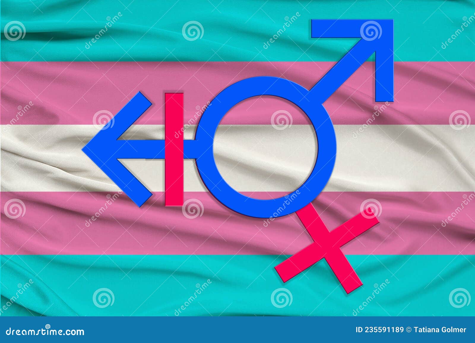 Striped Nonbinary Trans Flag: Combining the Non-binary and Transgender ...