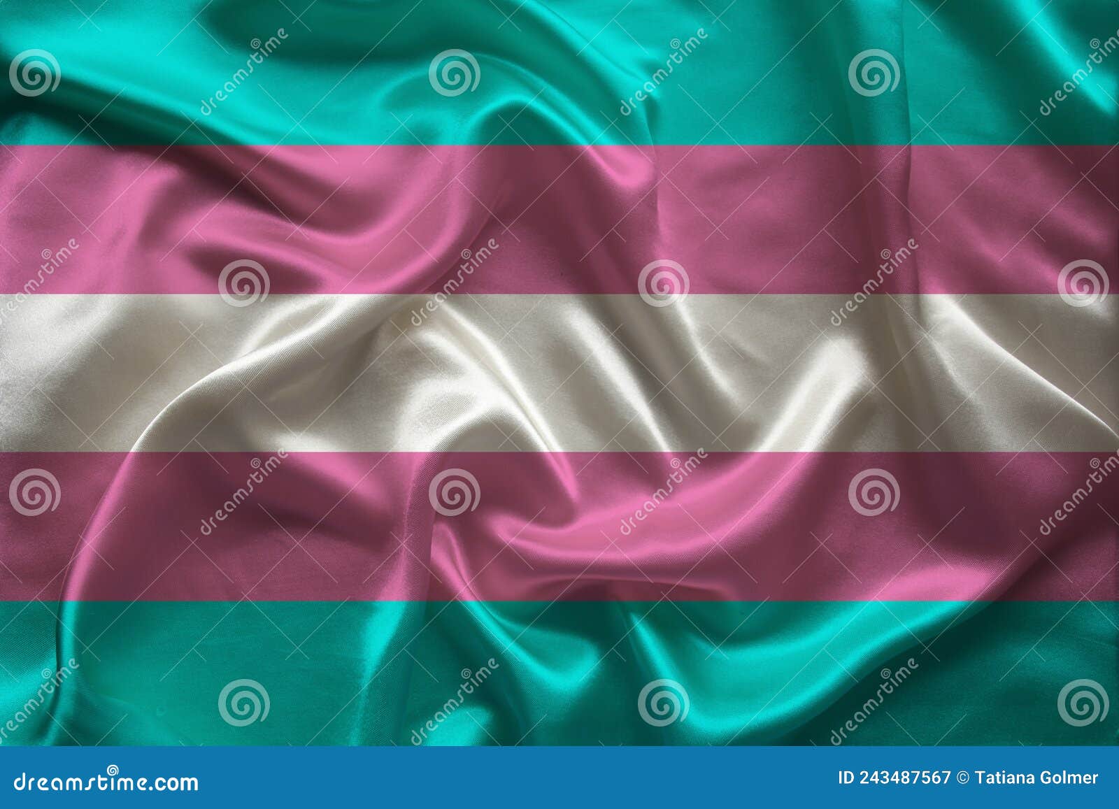 Striped Nonbinary Trans Flag: Combining the Non-binary and Transgender ...