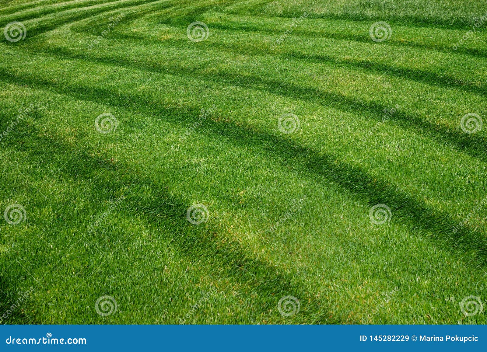 Striped Pattern on a Freshly Cut Grass Field Stock Image - Image of ...