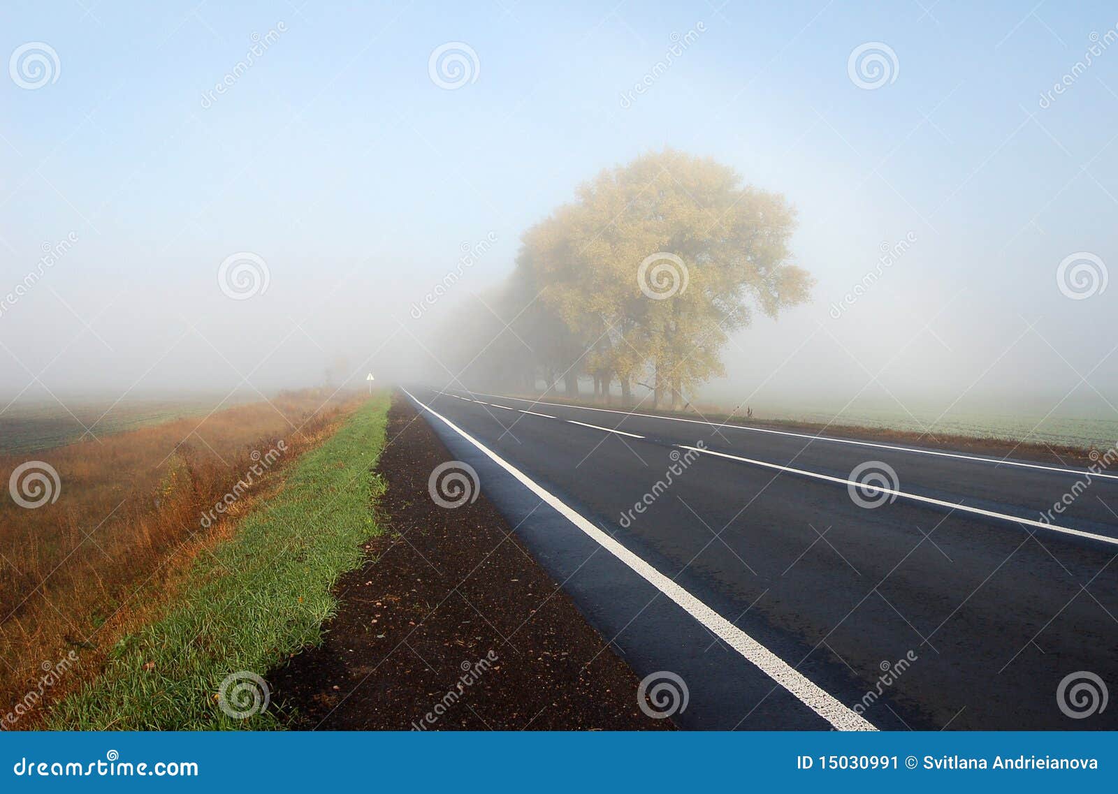 Striped road stock image. Image of dream, early, side - 15030991