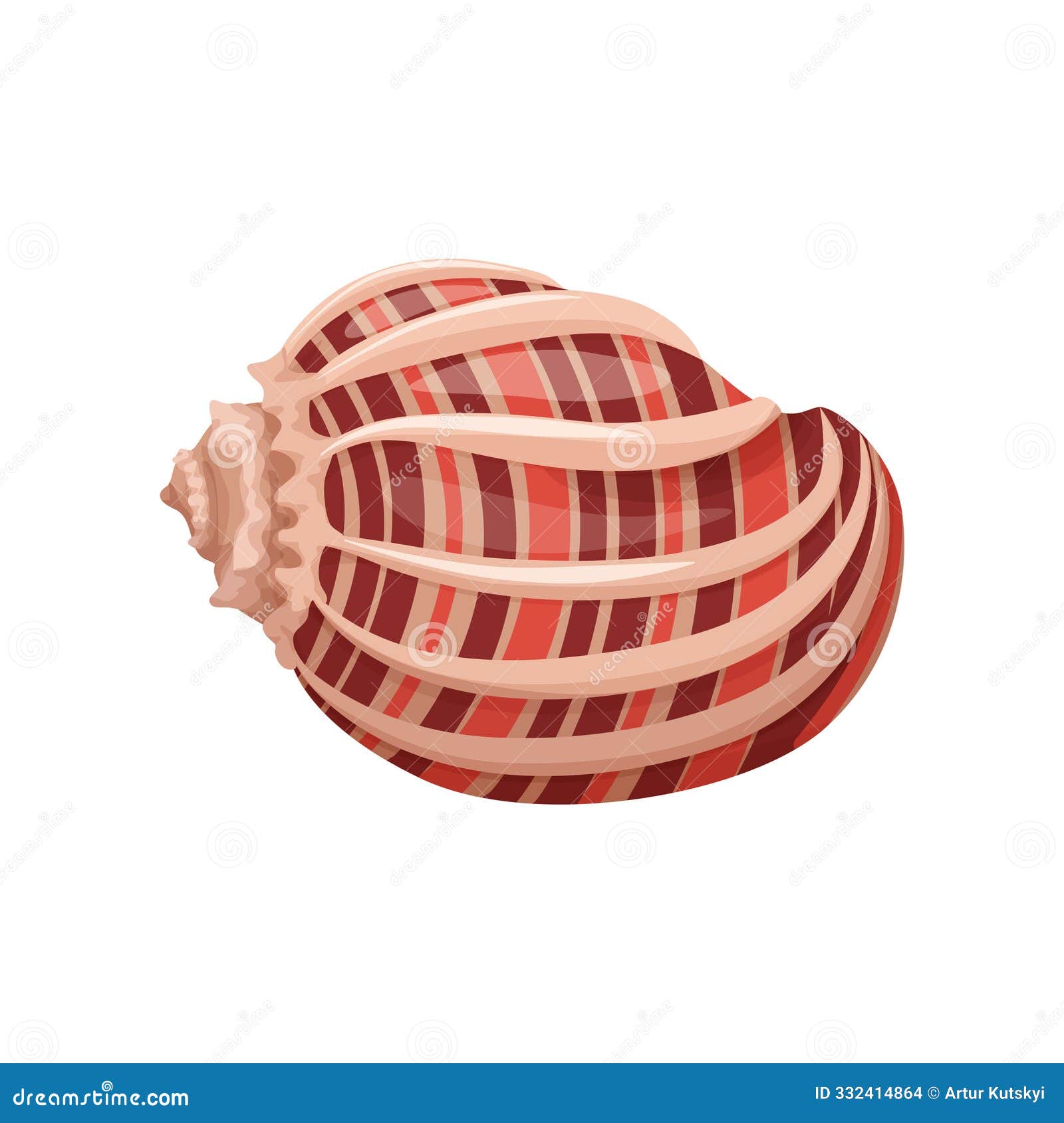 Seashell - Vector Linear Full Color Illustration - With Sea Mollusk ...