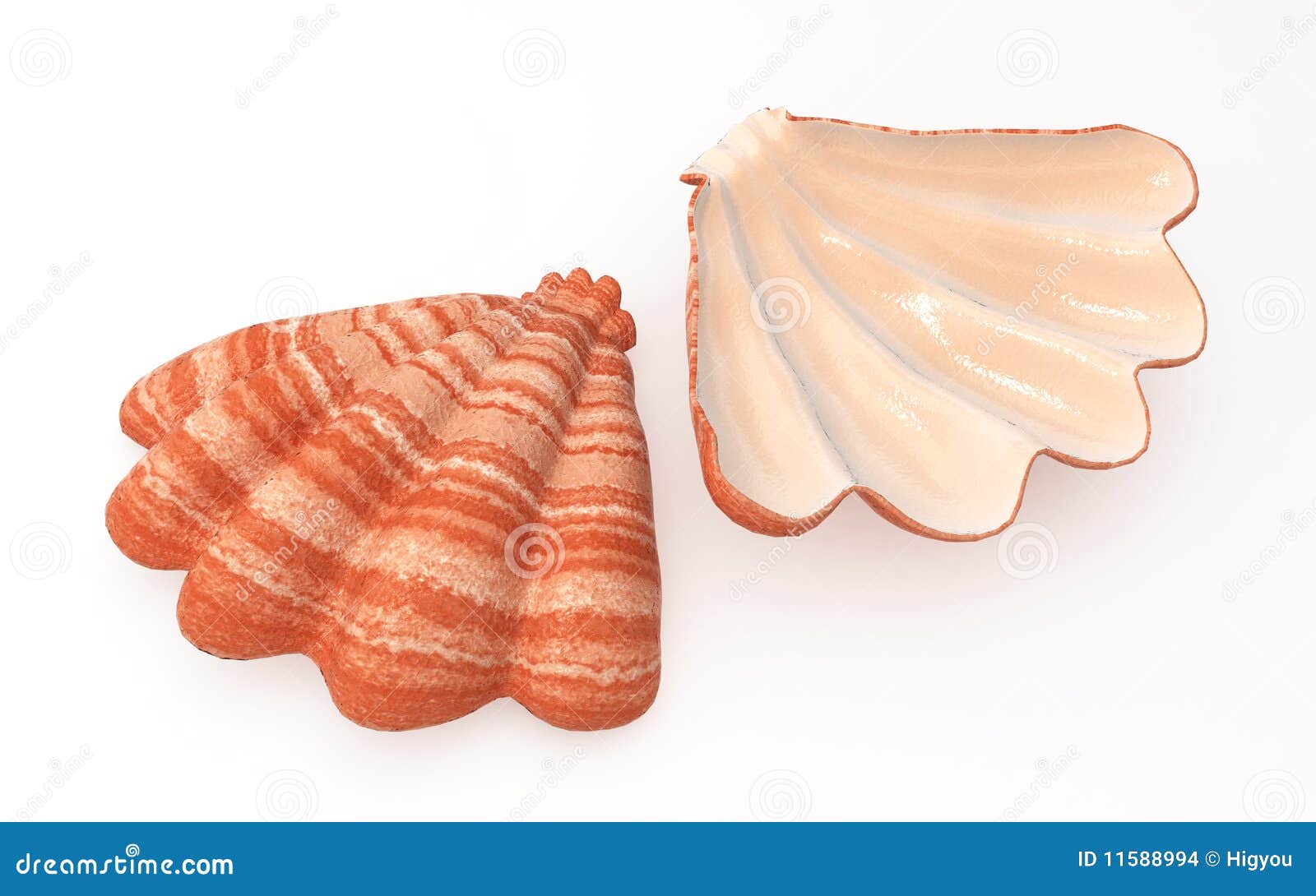 Striped Shell stock illustration. Illustration of summer - 11588994
