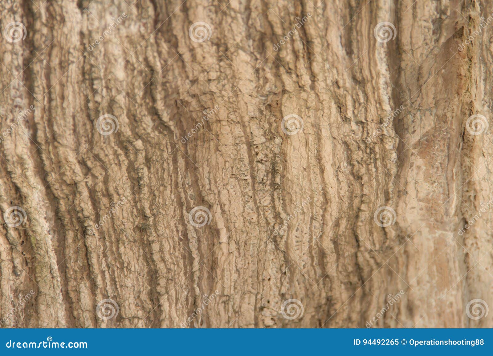 Striped stone texture stock image. Image of mountain - 94492265