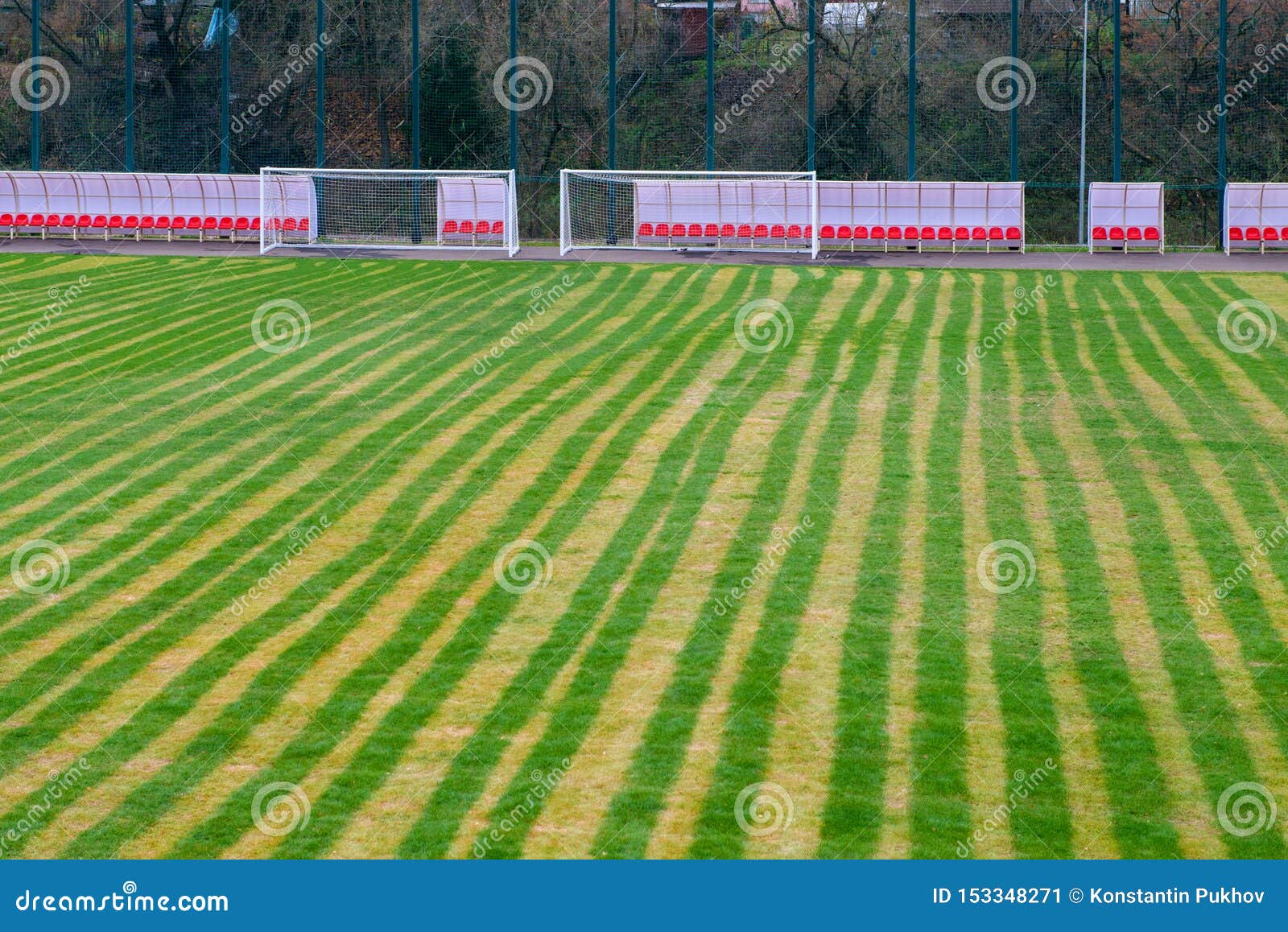 Striped Turf on the Soccer Field Stock Image - Image of color, green ...