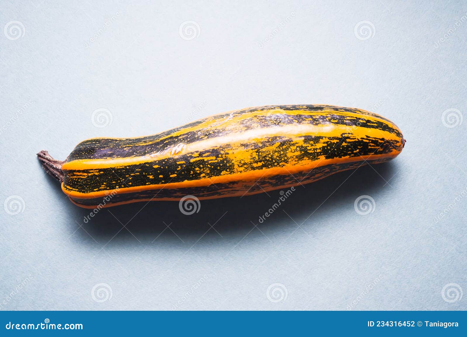 Striped Vegetable Marrow with Shadow on Blue Background. Stock Photo ...
