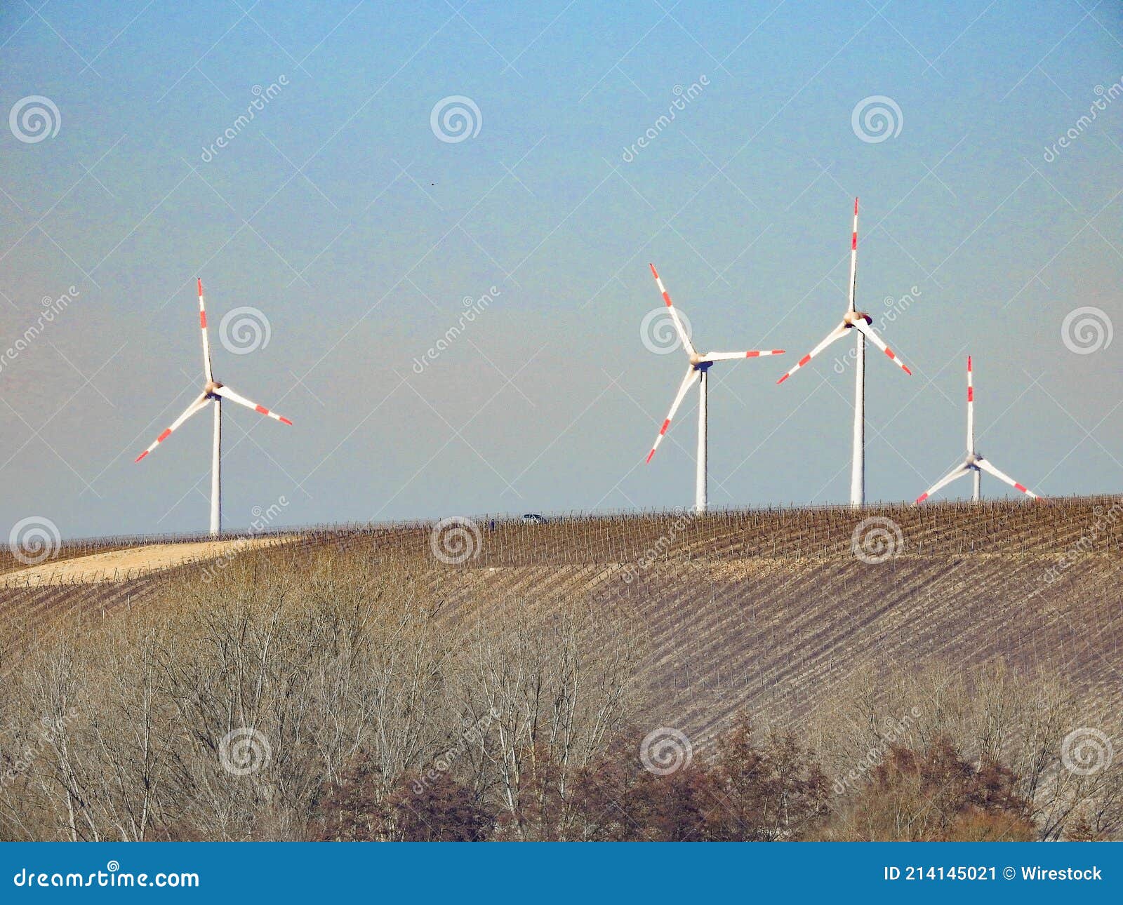 Striped Wind Turbines Spinning in Fields on a Blue Sky Background Stock ...