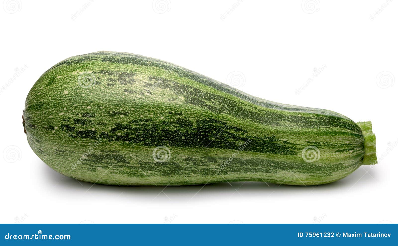 Striped Zucchini Whole Paths Stock Photos - Free & Royalty-Free Stock ...