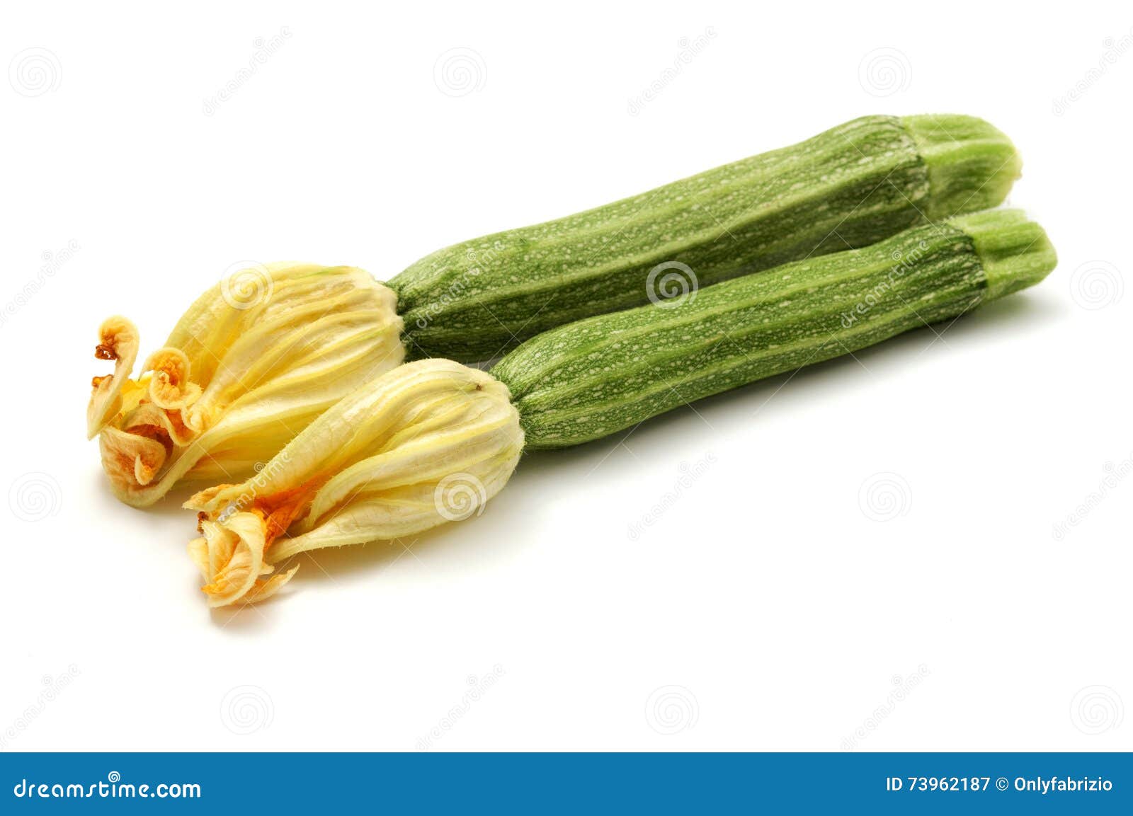 Striped zucchini stock image. Image of italian, studio - 73962187