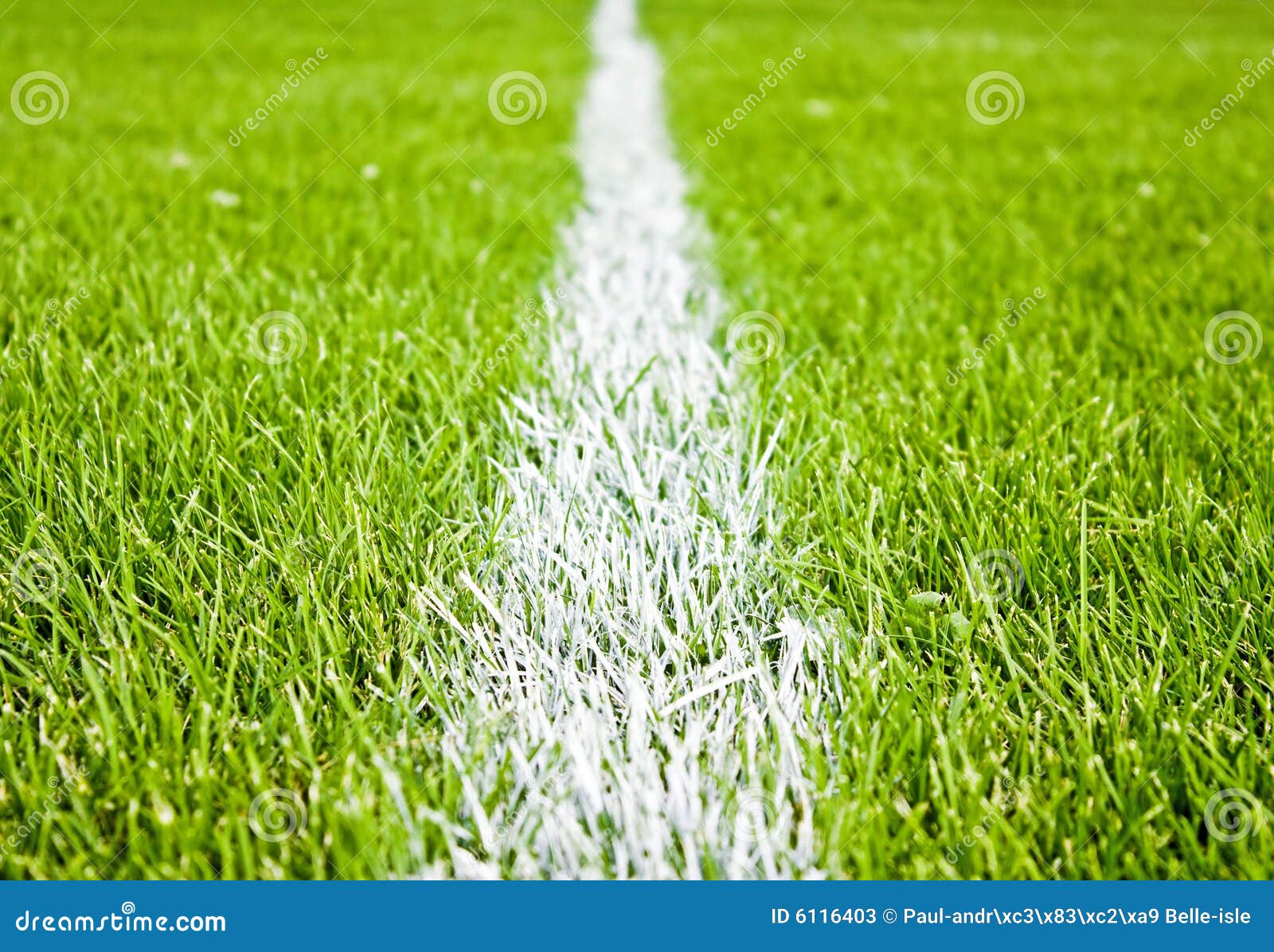 Stripes on grass stock image. Image of element, messy - 6116403