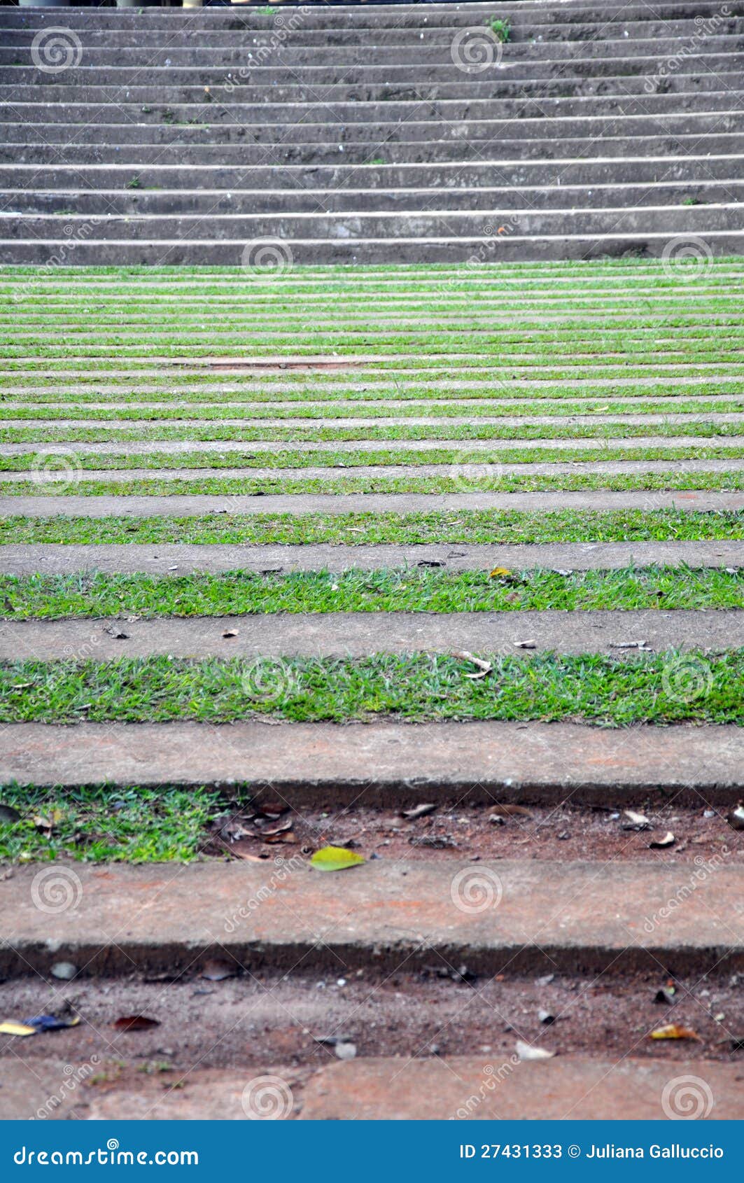 Stripes of grass and steps stock image. Image of outdoors - 27431333