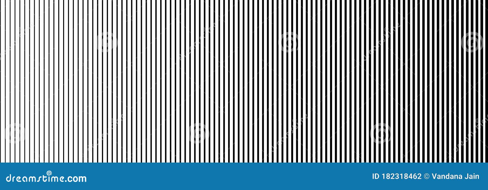 Stripes.Lines from Thin To Thick.straight, Parallel Vertical. Stock ...