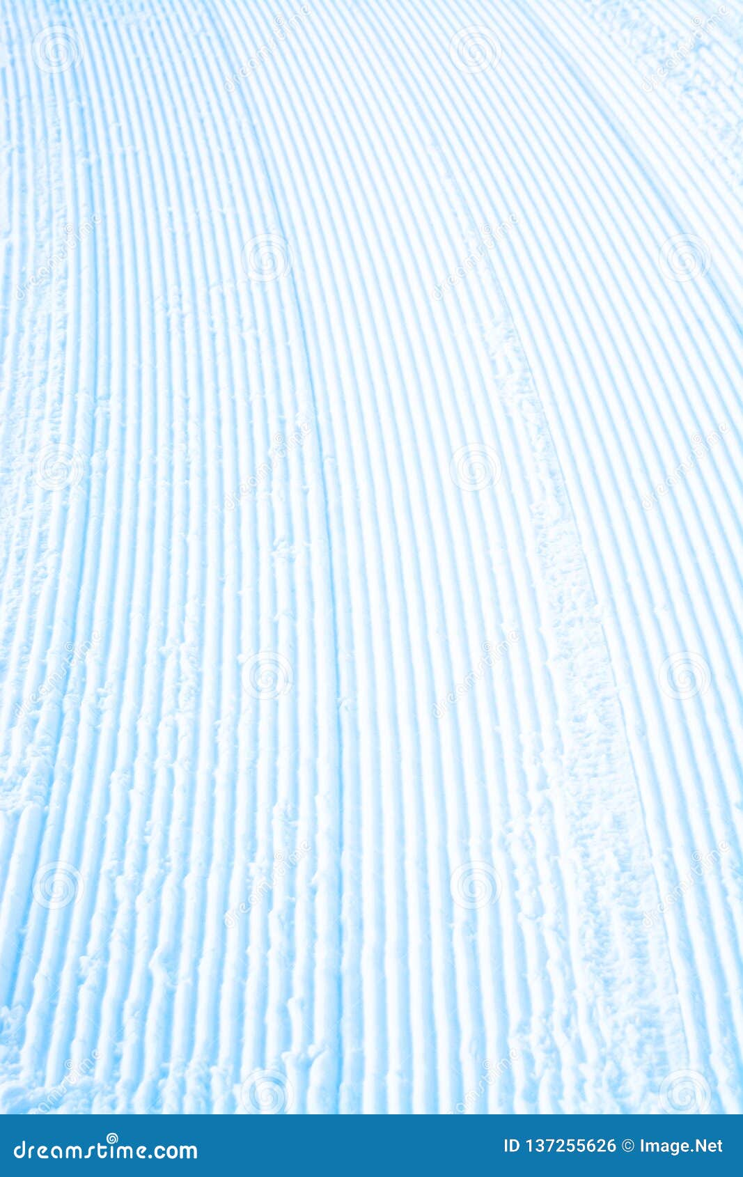 Stripes on Snow Surface Profiled for Future Ski Trace. Stock Photo ...