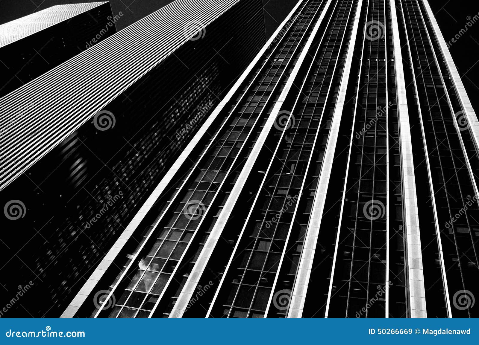 Stripes stock image. Image of floral, color, bloom, pattern - 50266669