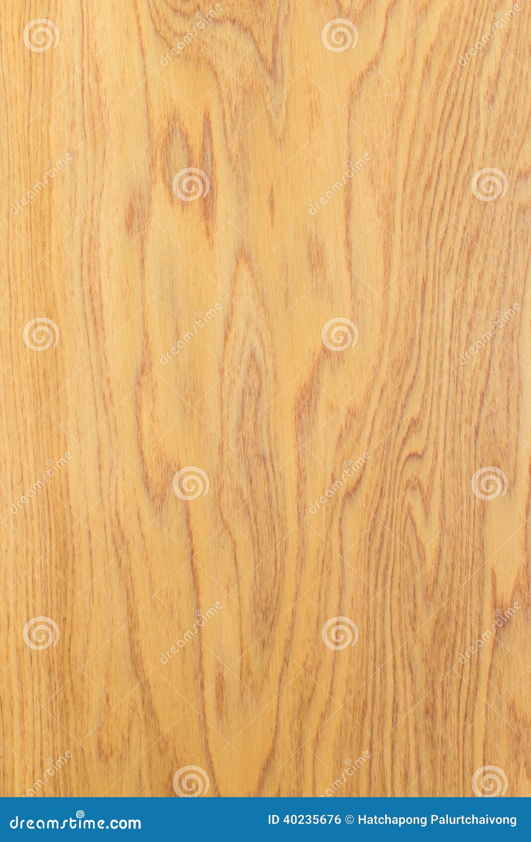 Stripes on wood stock photo. Image of nature, hardwood - 40235676