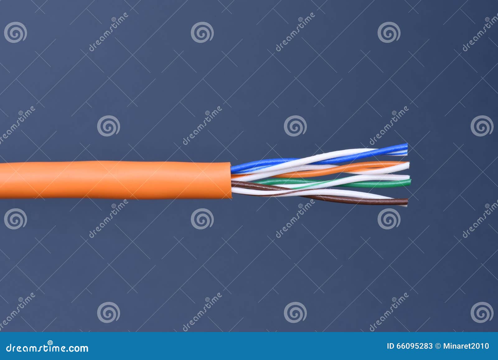 Stripped Computer Network Cable Stock Image - Image of information ...