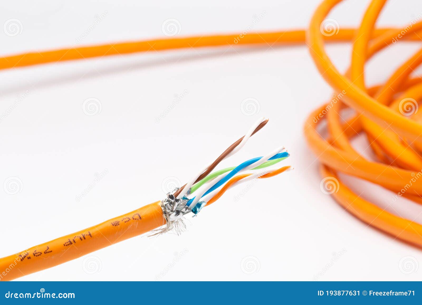 Stripped Ethernet Cable with Twisted Wires Stock Image - Image of ...