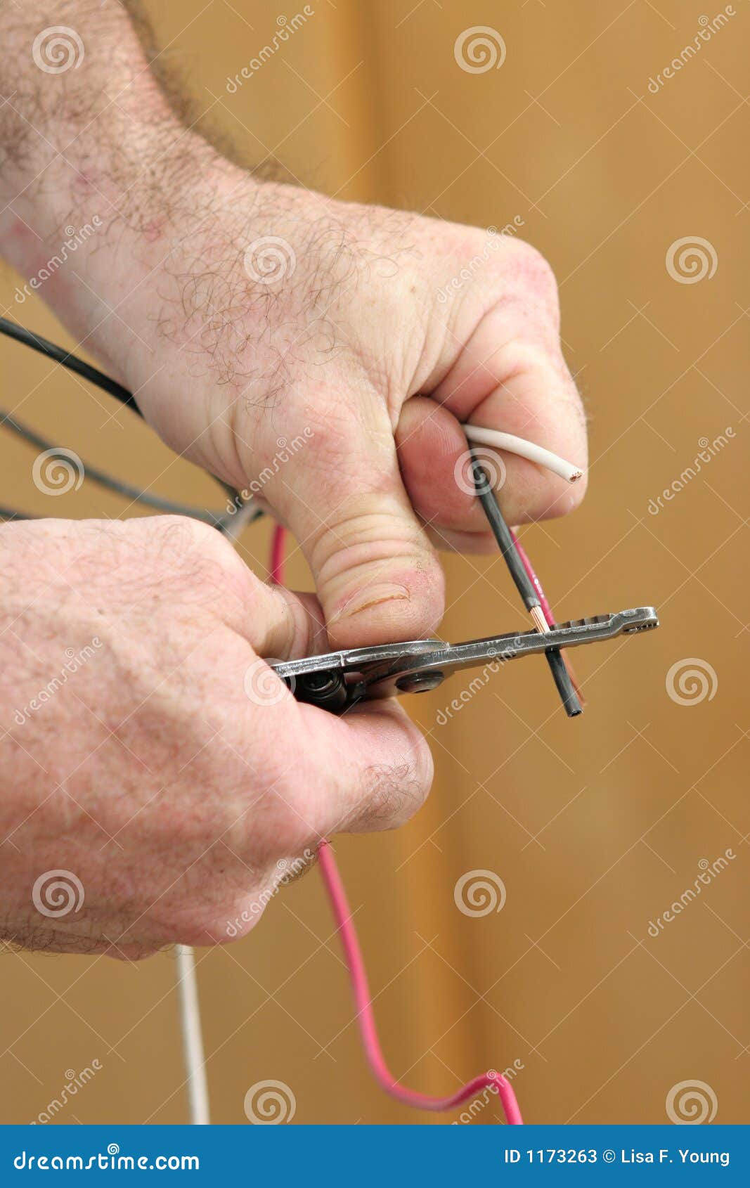 Stripping Electricial Wire stock image. Image of remodel - 1173263