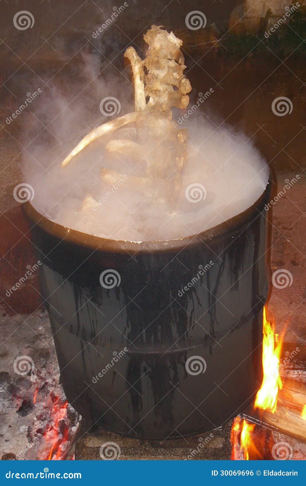 Skeleton Cookin stock photo. Image of barrel, food, strange - 30069696