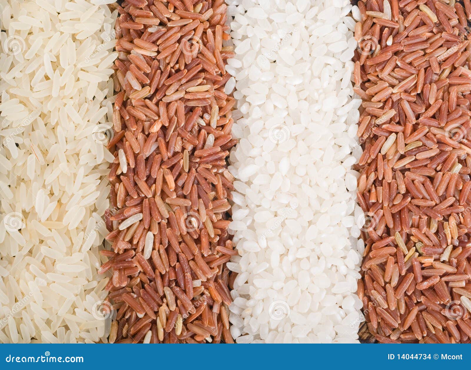Strips from Different Rice Varieties Stock Photo - Image of grains ...