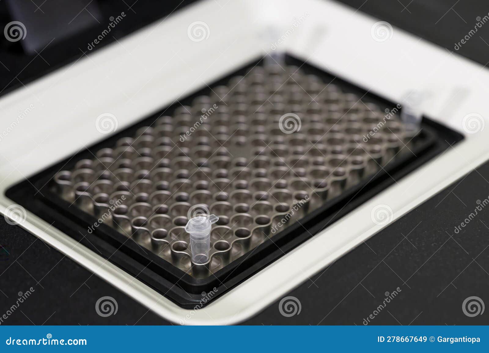 Strips with DNA in the PCR Thermal Cycler or Amplifier Stock Image ...