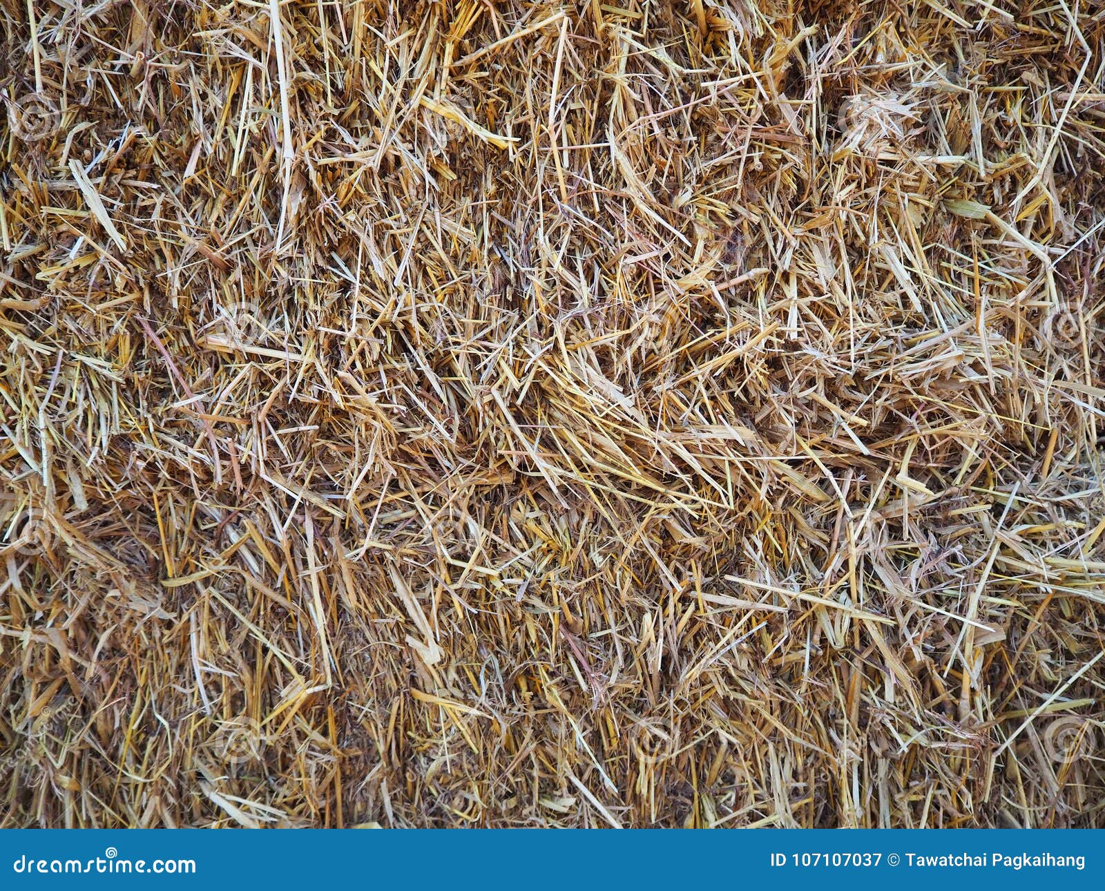 Stro stock afbeelding. Image of samenvatting, landbouwbedrijf - 107107037