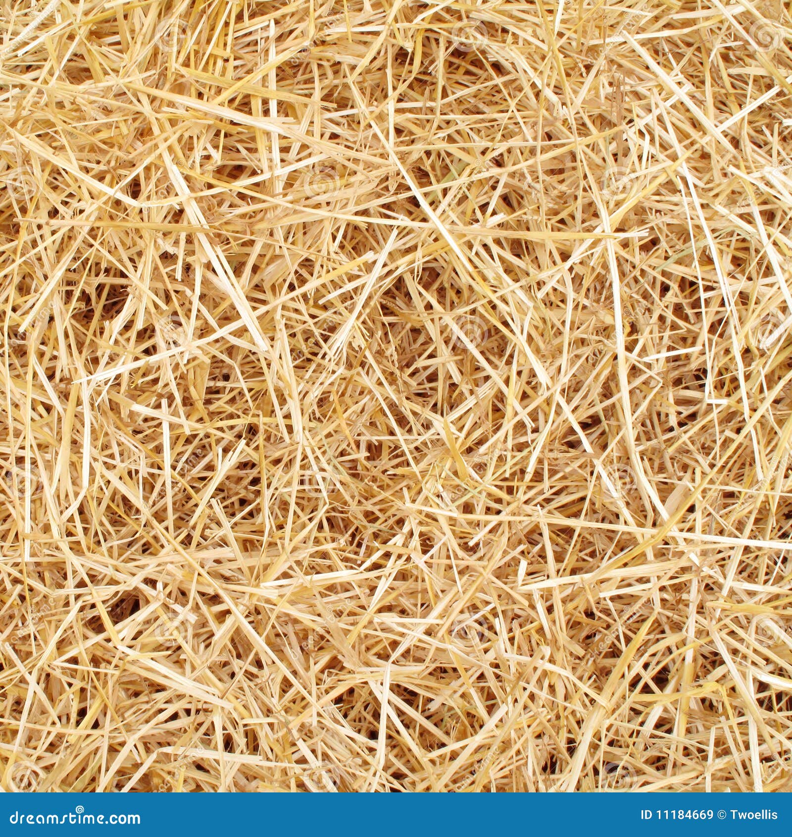 Stro stock afbeelding. Image of stro, landbouw, droog - 11184669
