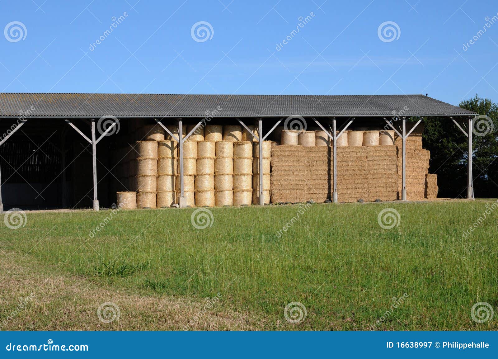 Stro stock afbeelding. Image of tarwe, land, schuur, oogst - 16638997