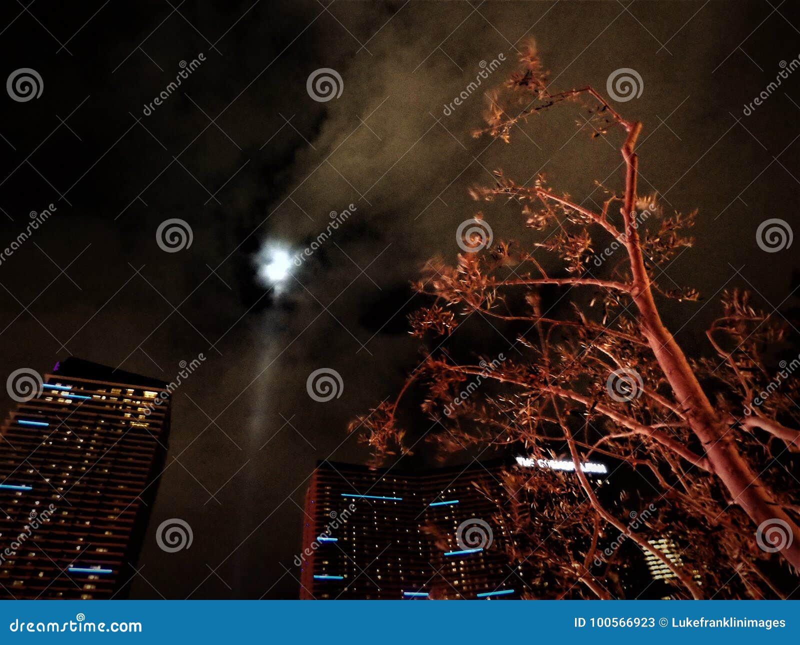 Strobe Light Over Las Vegas Strip Stock Image - Image of branches ...