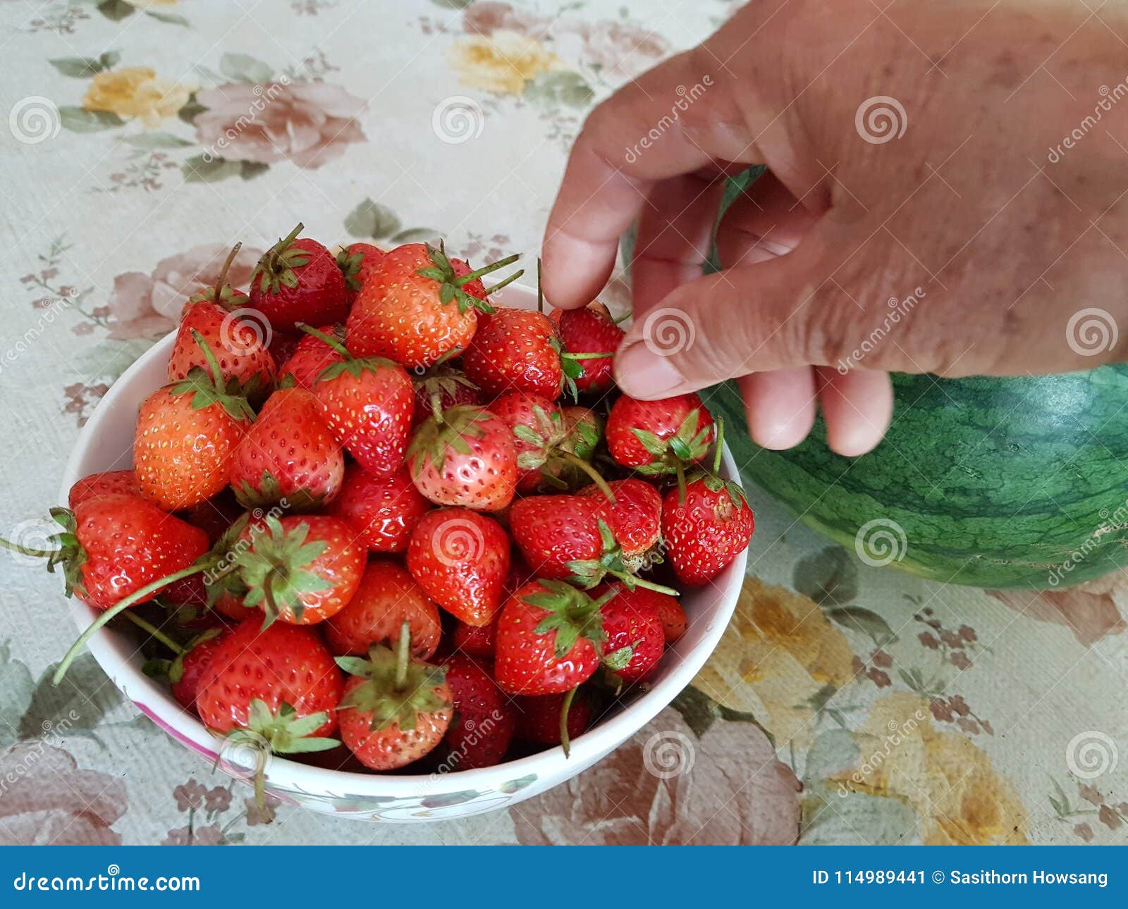 Stroberry stock image. Image of fruit, hand, granma - 114989441
