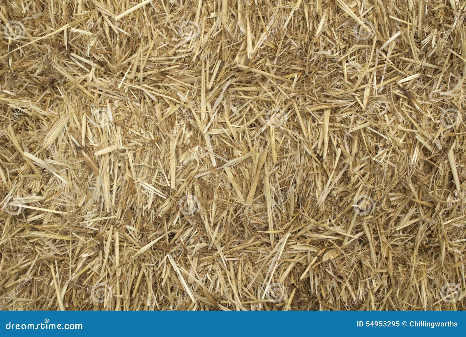 Stroh stockbild. Bild von fokus, ballen, feld, nahaufnahme - 54953295