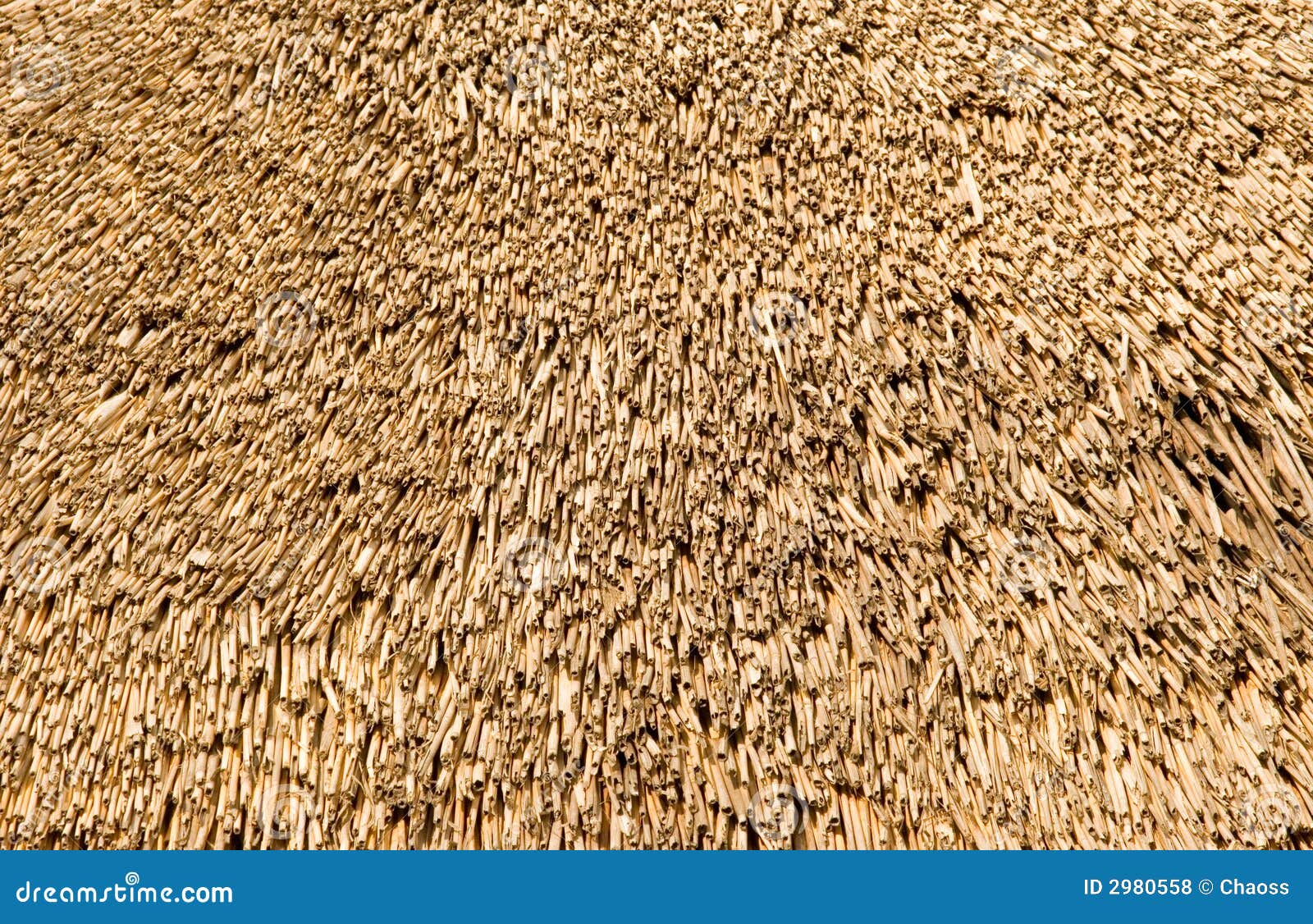 Stroh auf einem Dach stockfoto. Bild von haus, beschaffenheit - 2980558