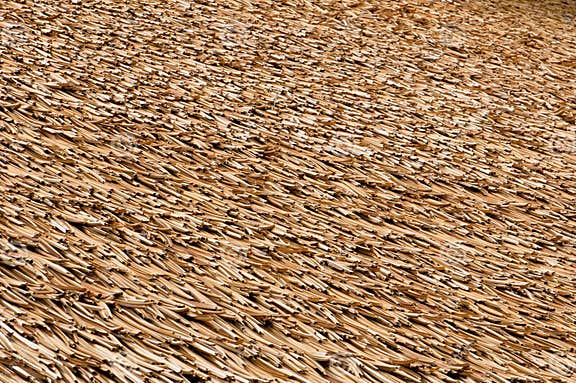 Stroh-Thatched Dach stockfoto. Bild von muster, sonnenschutz - 15714784