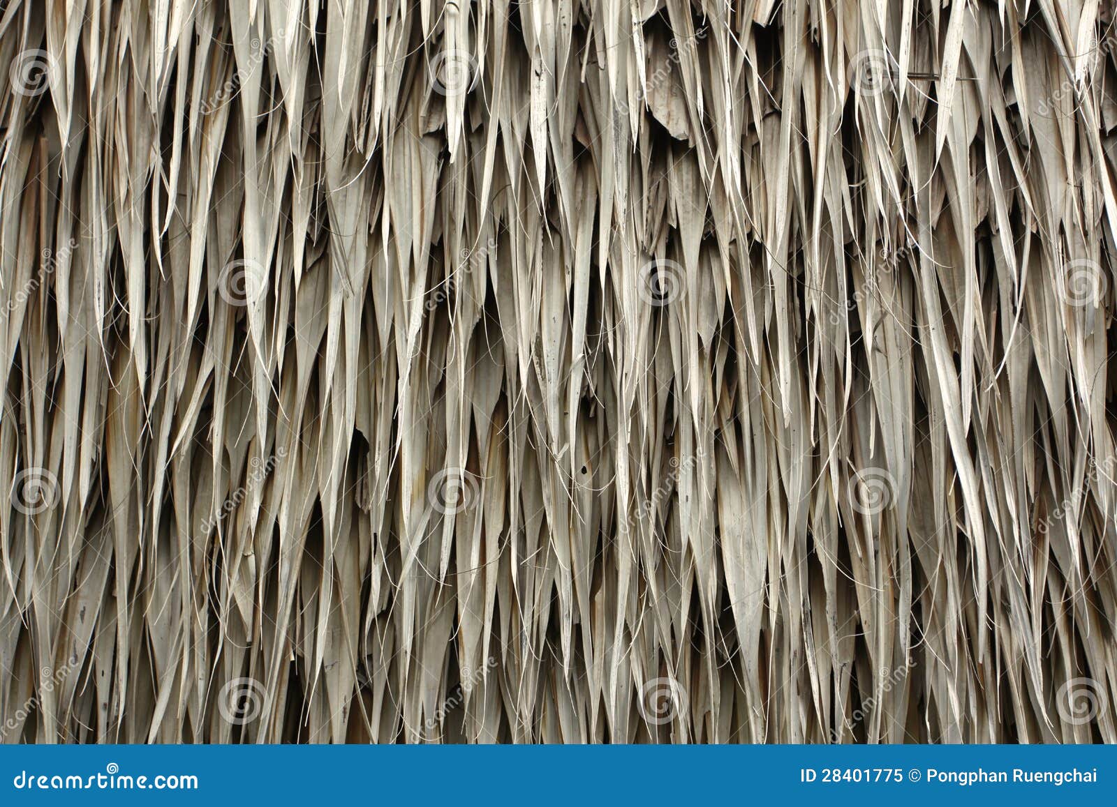 Strohdach stockbild. Bild von material, hintergründe - 28401775