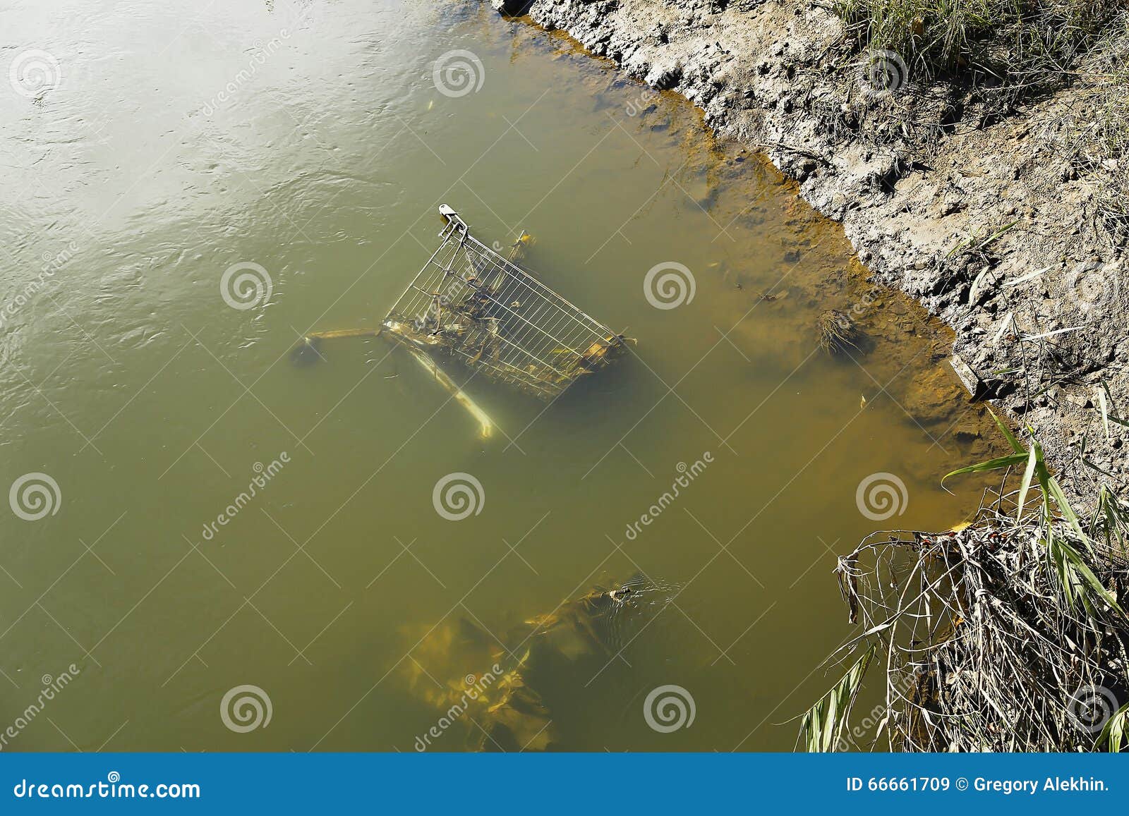 Stroller in the water. stock image. Image of dirt, branches - 66661709
