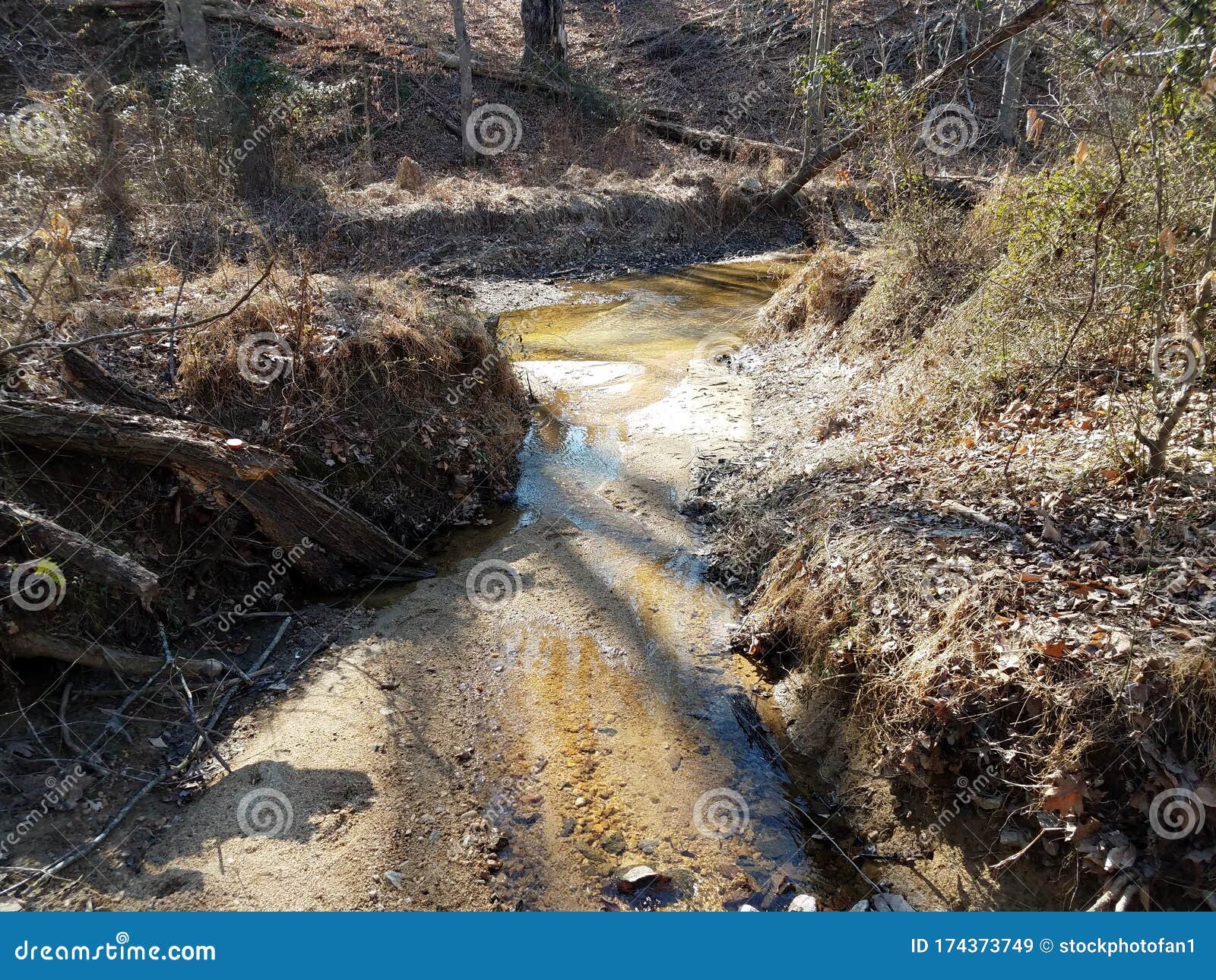 Strom Oder Nebenfluss Oder Flusswasser Im Wald Stockbild - Bild von ...