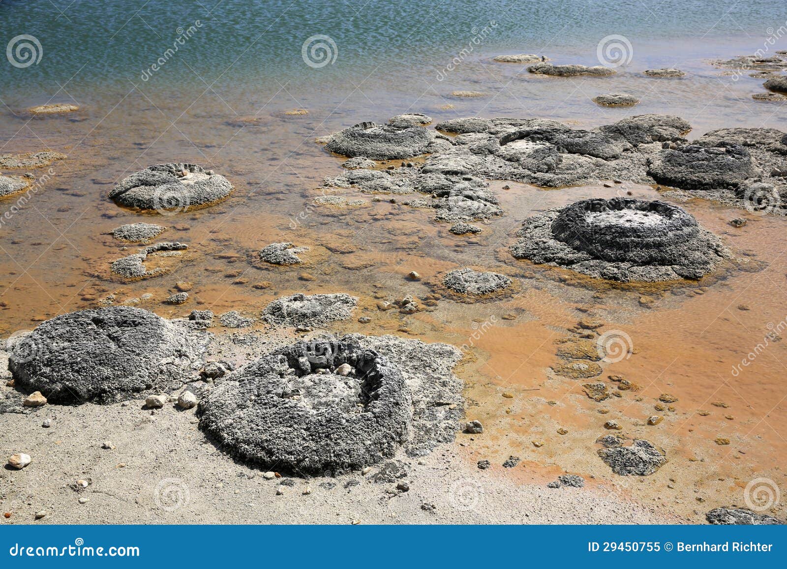 Stromatolite stock image. Image of australasia, rocks - 29450755