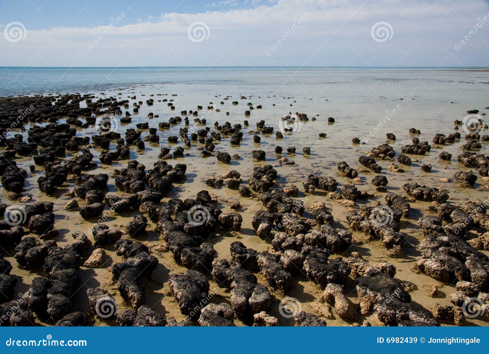 Stromatolites stock image. Image of oldest, ancient, rocks - 6982439