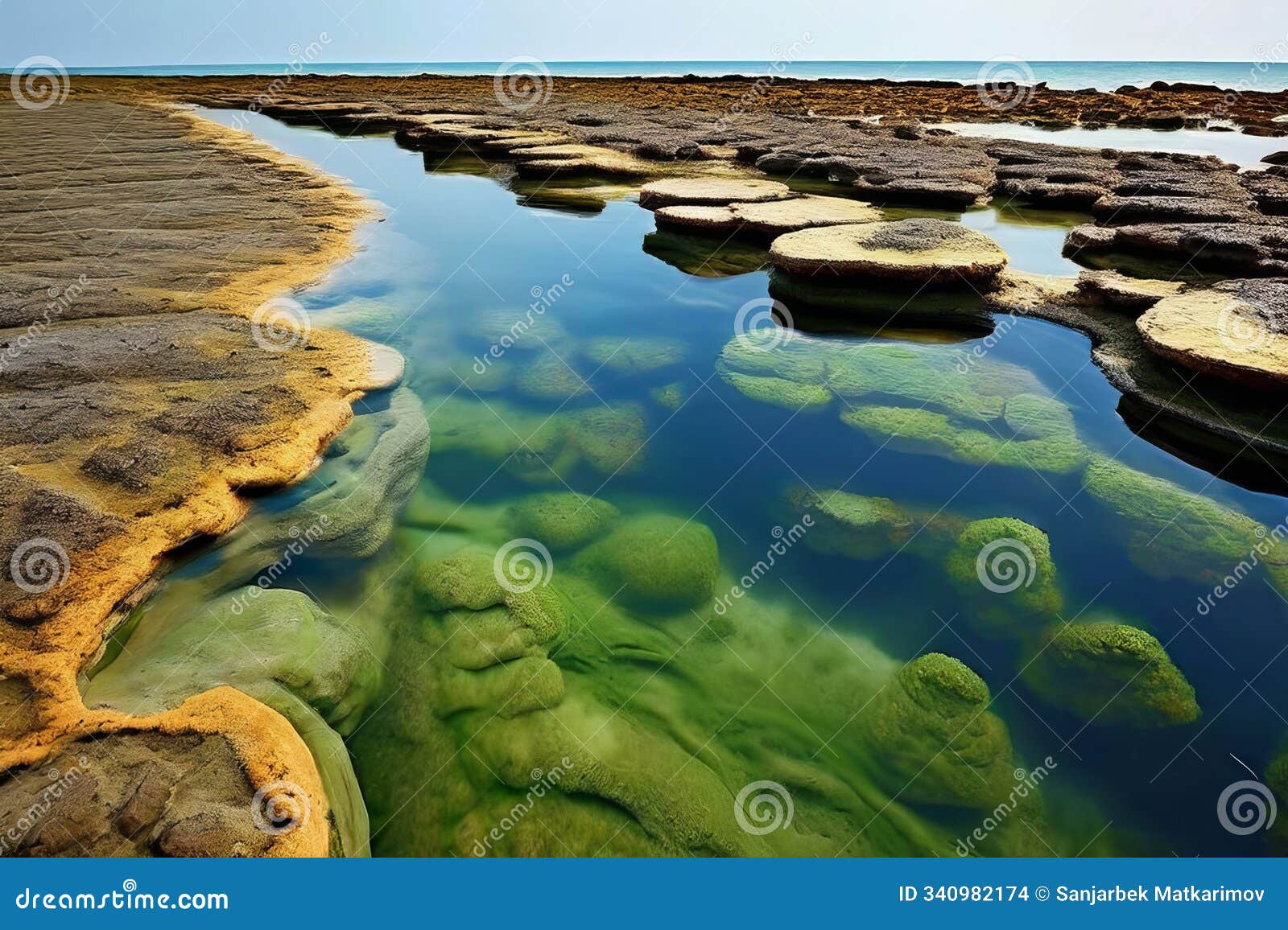 Stromatolites Ancient Rock Like Structures Formed by Layers of C Stock ...